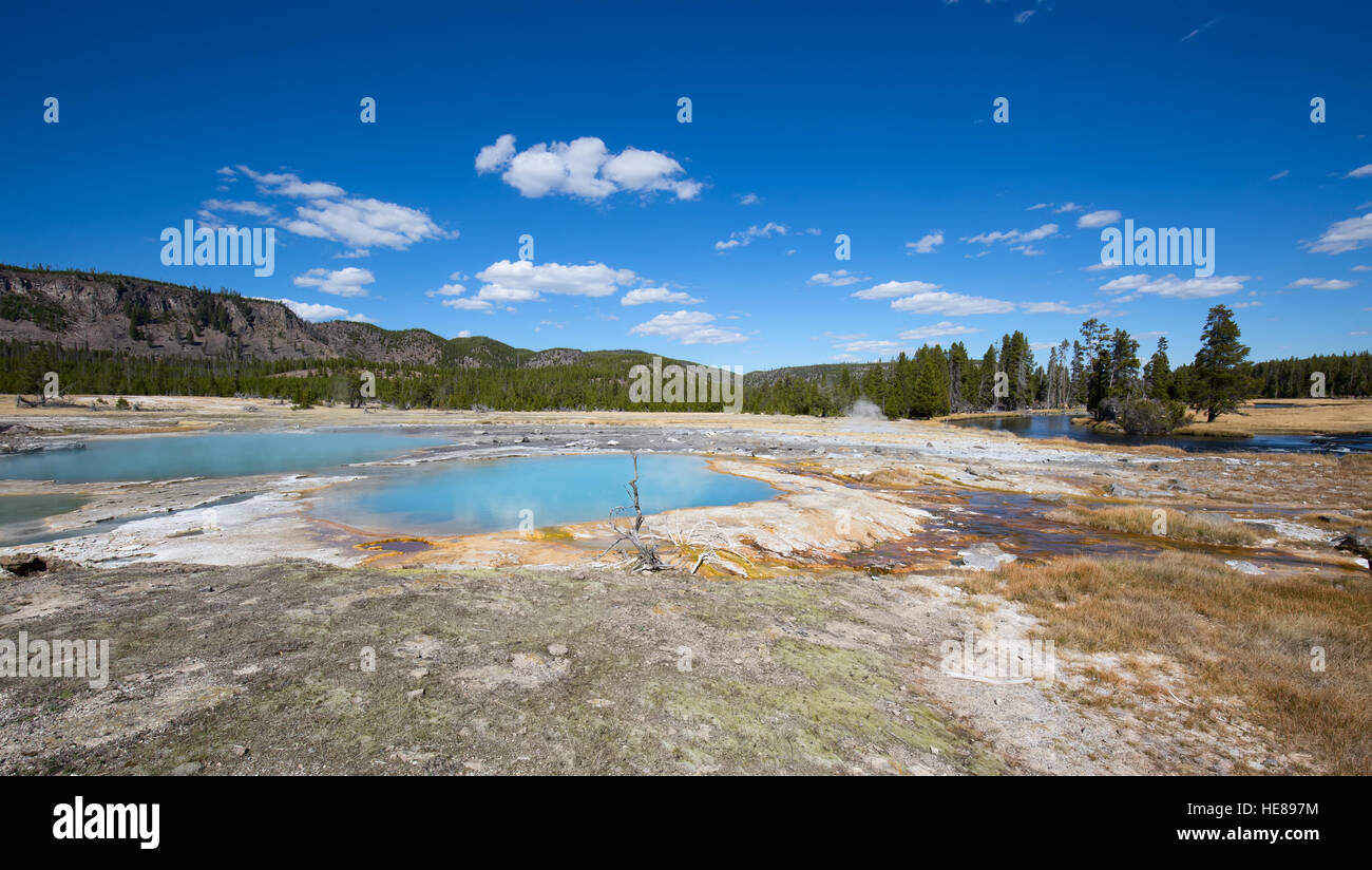Colorful hot water pool in the Yellowstone National park, USA Stock ...