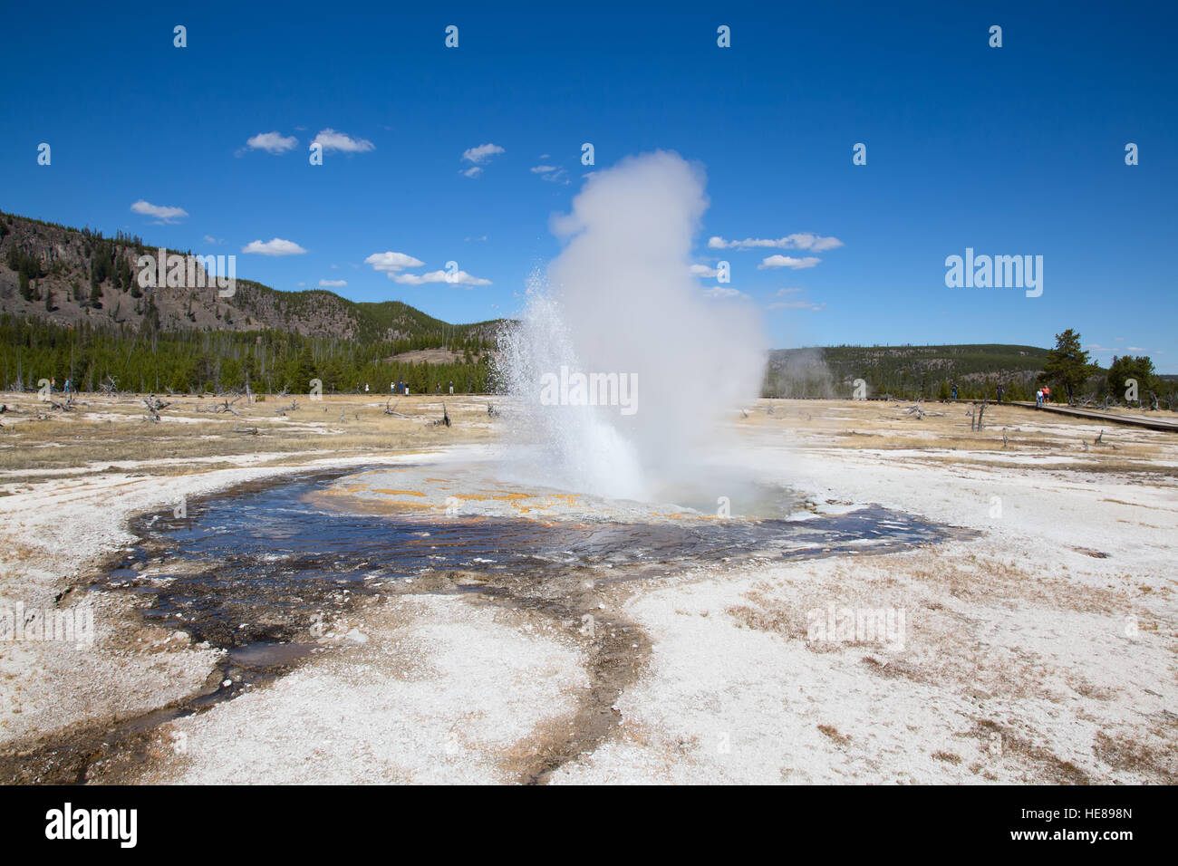 Colorful hot water pool in the Yellowstone National park, USA Stock ...