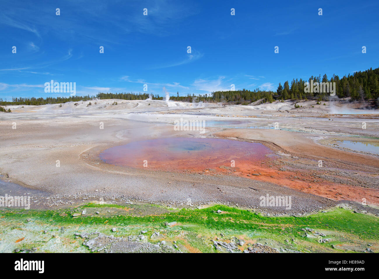Colorful hot water pool in the Yellowstone National park, USA Stock ...