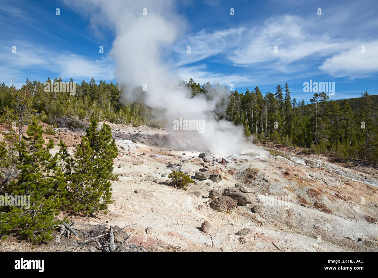 Steamboat geyser minor eruption in the Yellowstone national park, USA ...