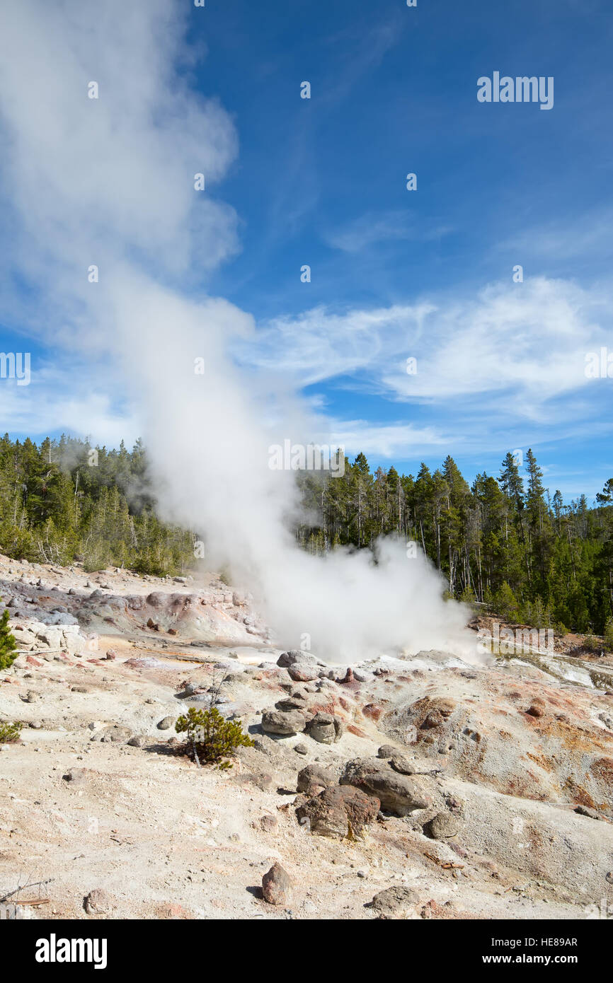 Steamboat geyser minor eruption in the Yellowstone national park, USA ...