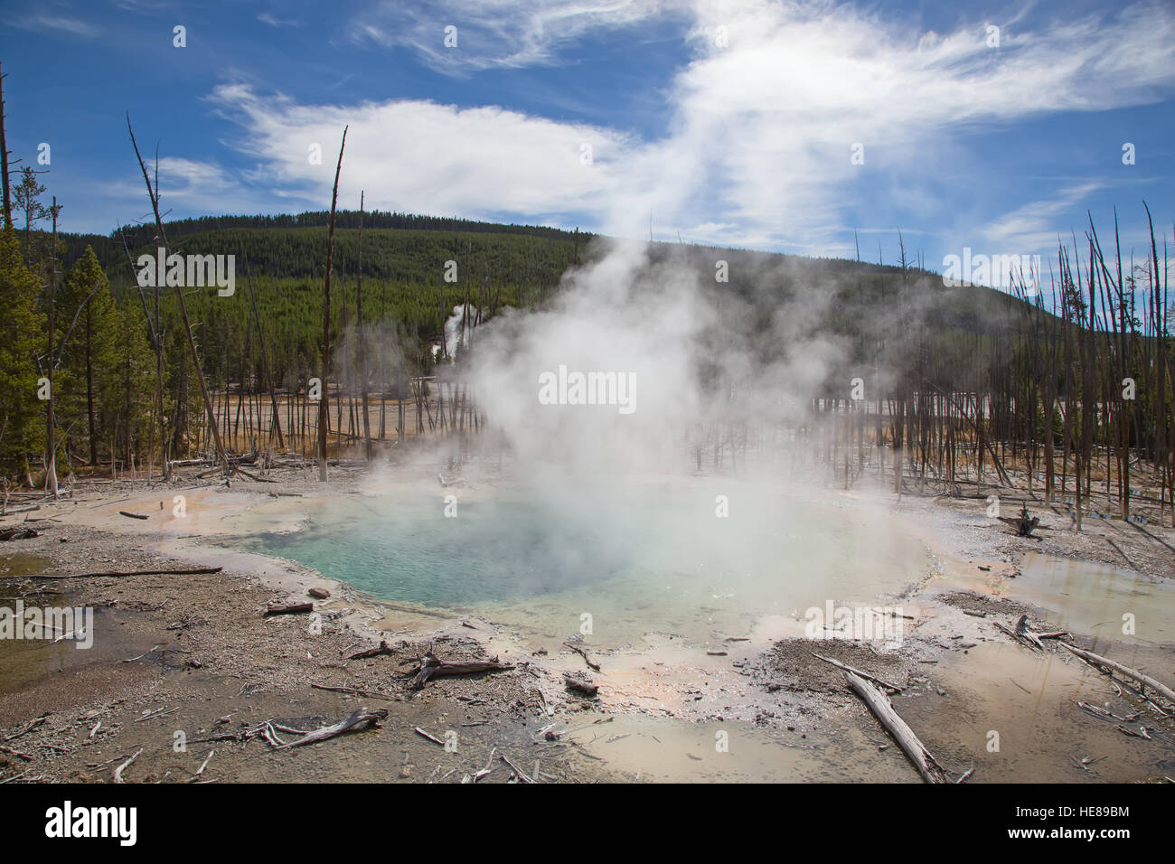 Norris geyser basin in the Yellowstone National park, USA Stock Photo ...