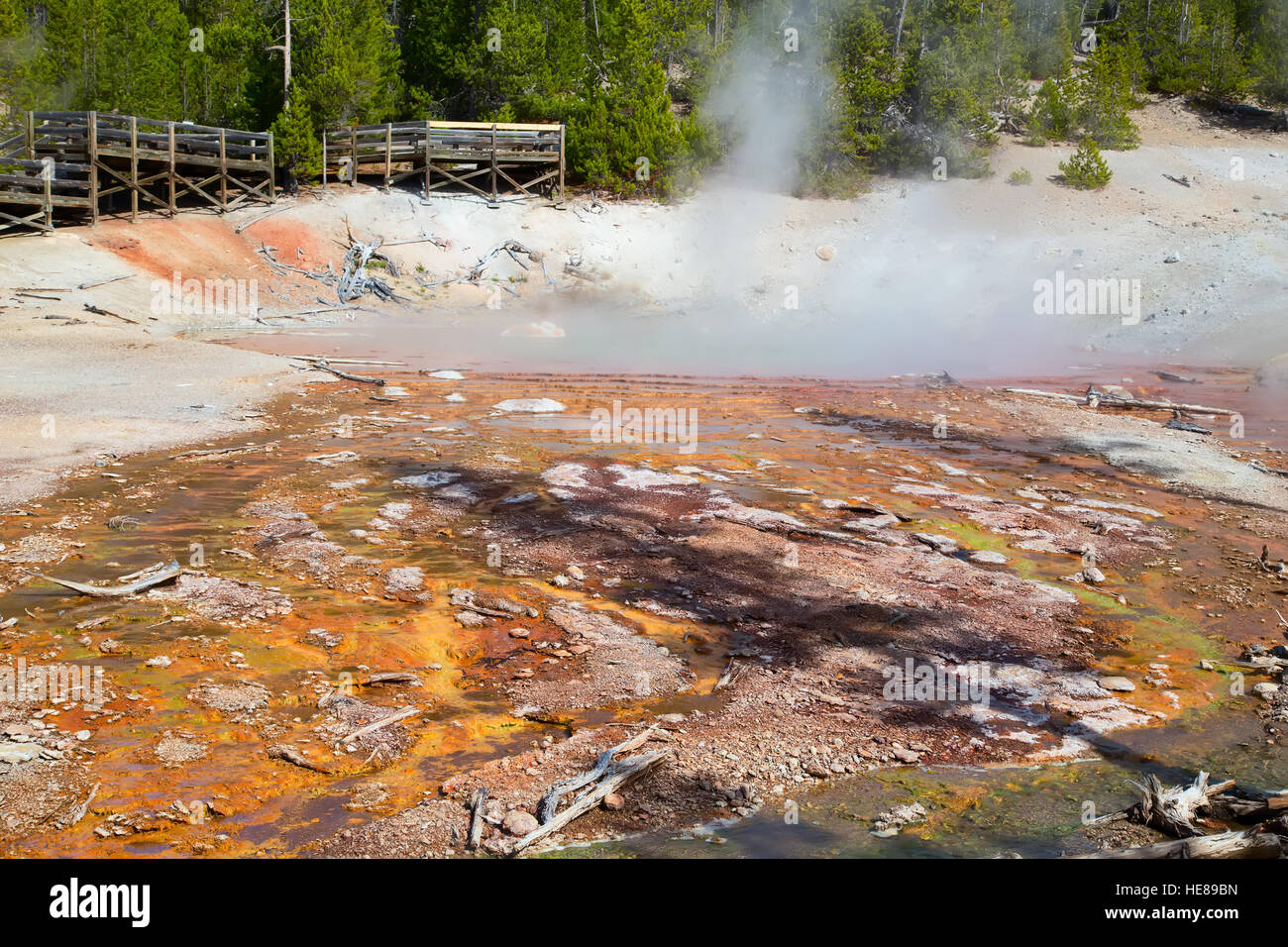 Norris geyser basin in the Yellowstone National park, USA Stock Photo ...