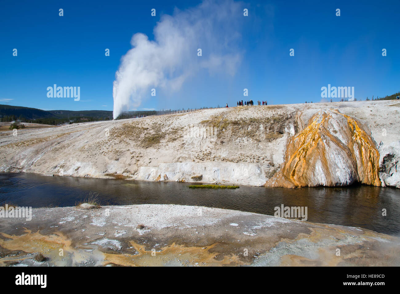 Old Faithful geyser eruption in the Yellowstone national park, USA ...