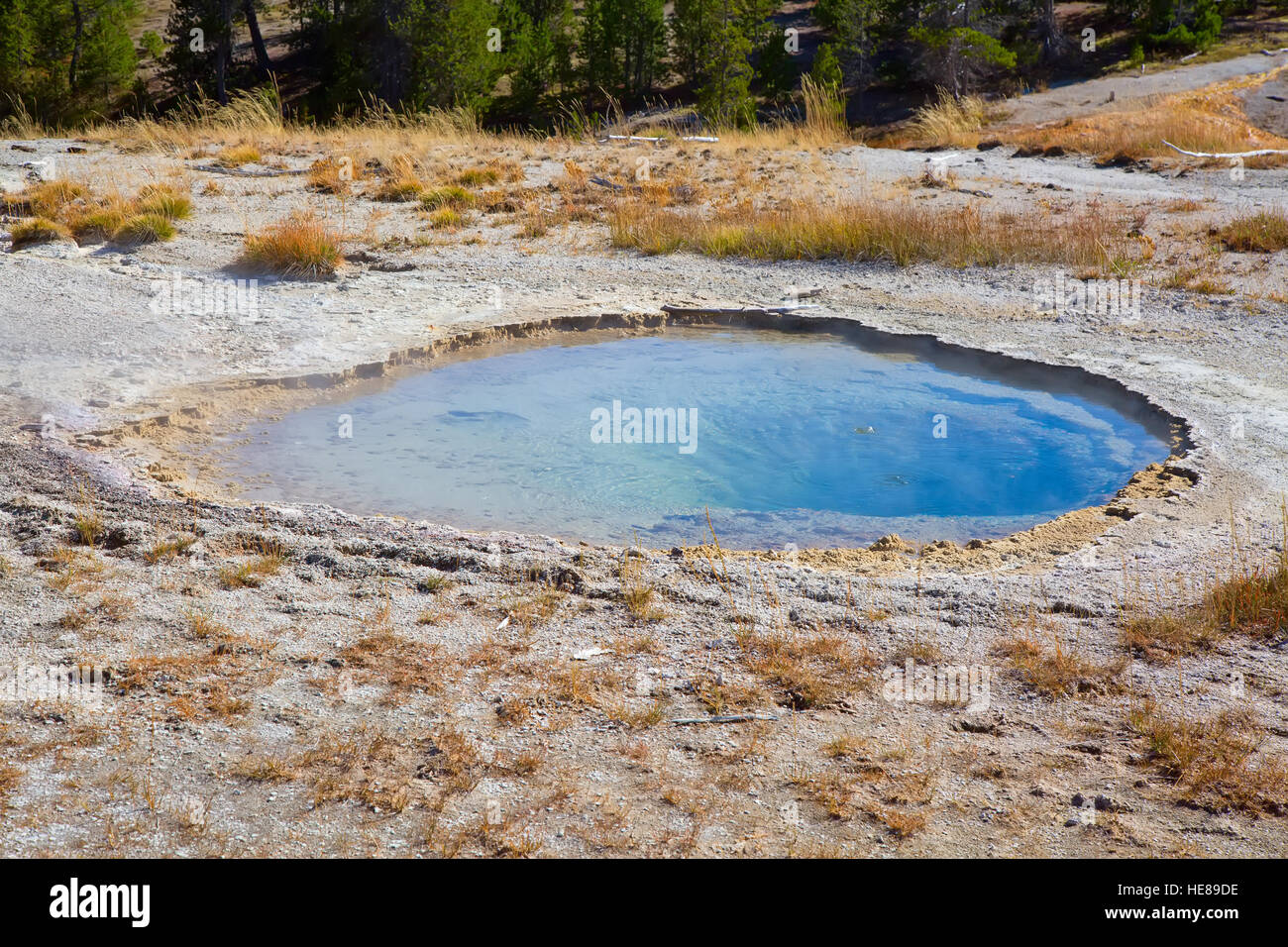 Colorful hot water pool in the Yellowstone National park, USA Stock ...