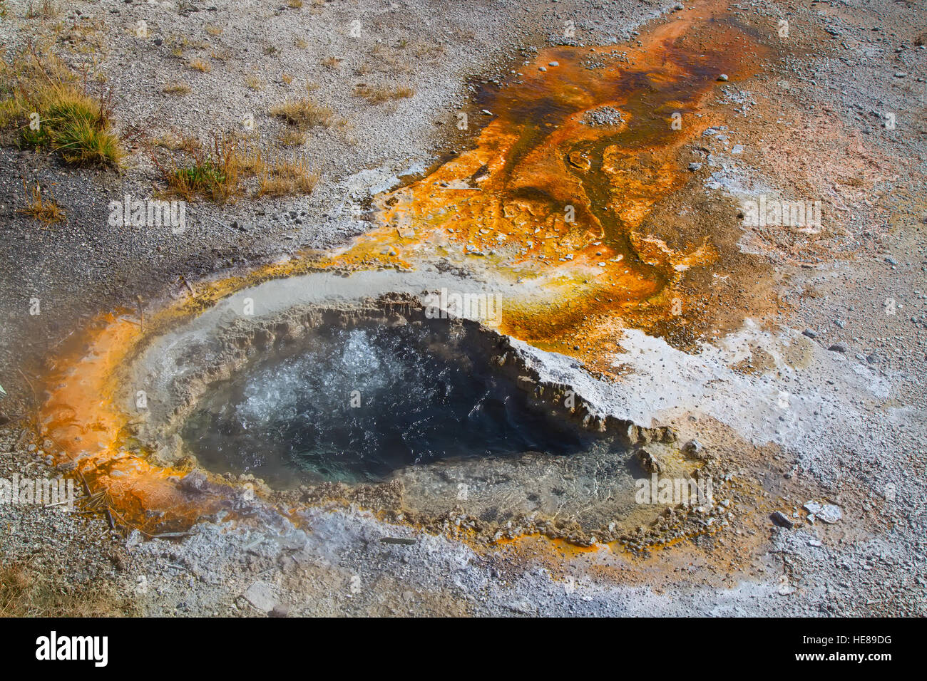 Colorful hot water pool in the Yellowstone National park, USA Stock ...