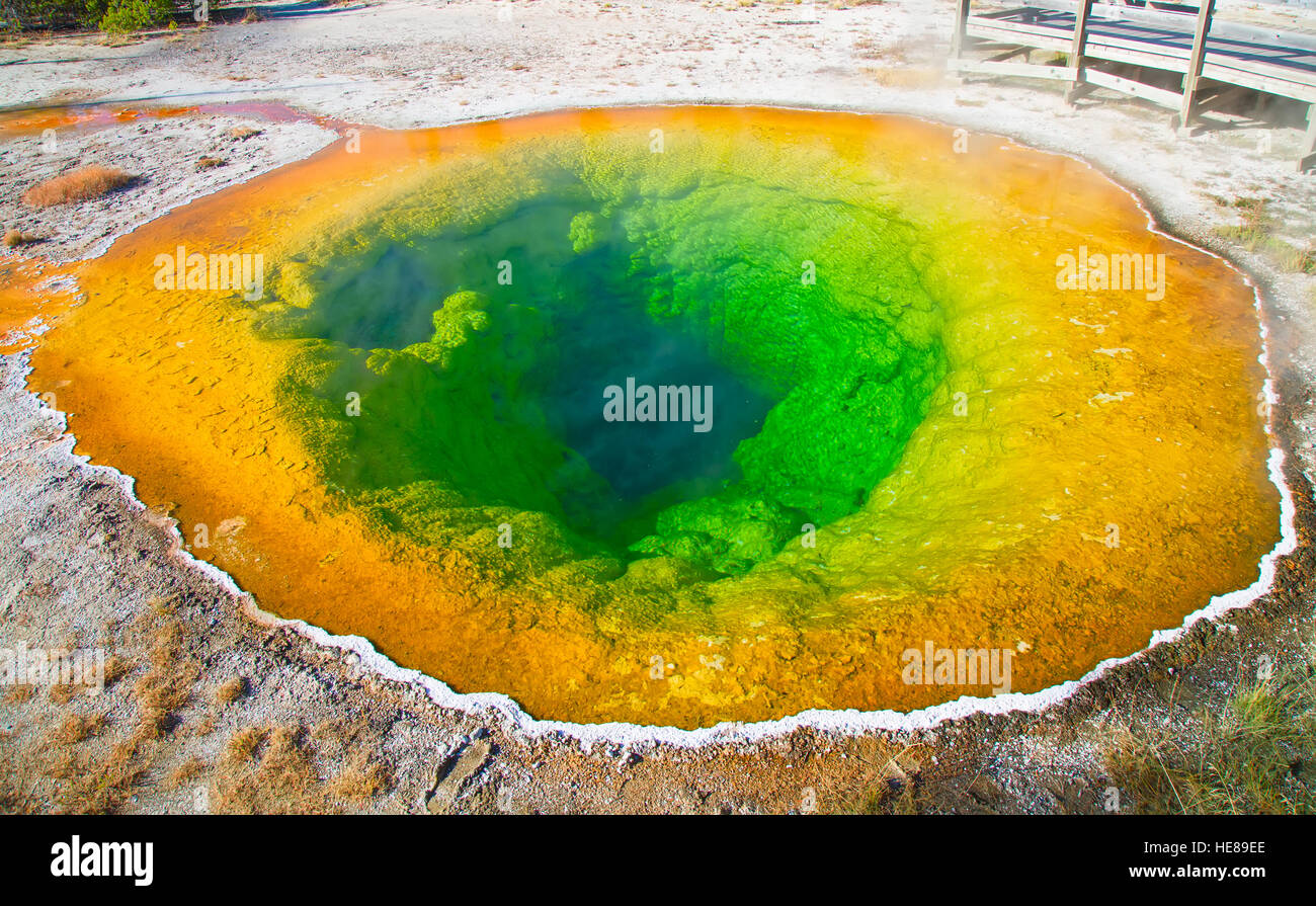 Colorful hot water pool in the Yellowstone National park, USA Stock ...