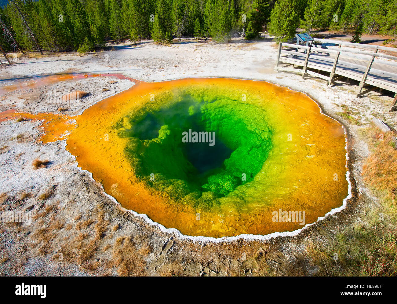Colorful hot water pool in the Yellowstone National park, USA Stock ...