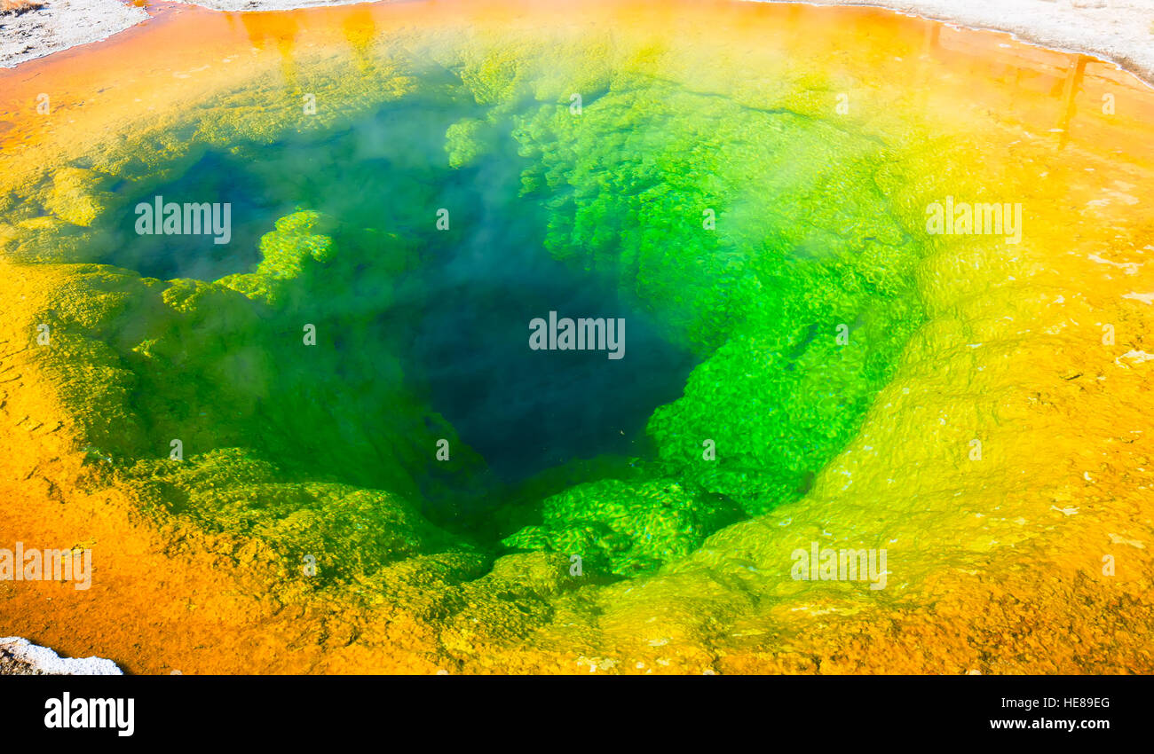 Colorful hot water pool in the Yellowstone National park, USA Stock ...