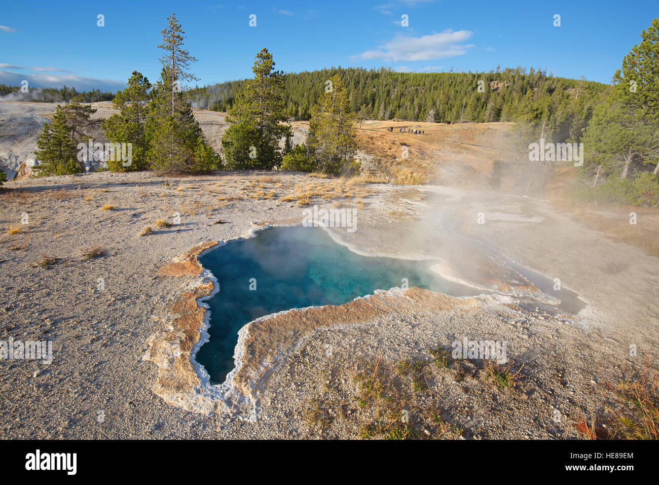 Colorful hot water pool in the Yellowstone National park, USA Stock ...