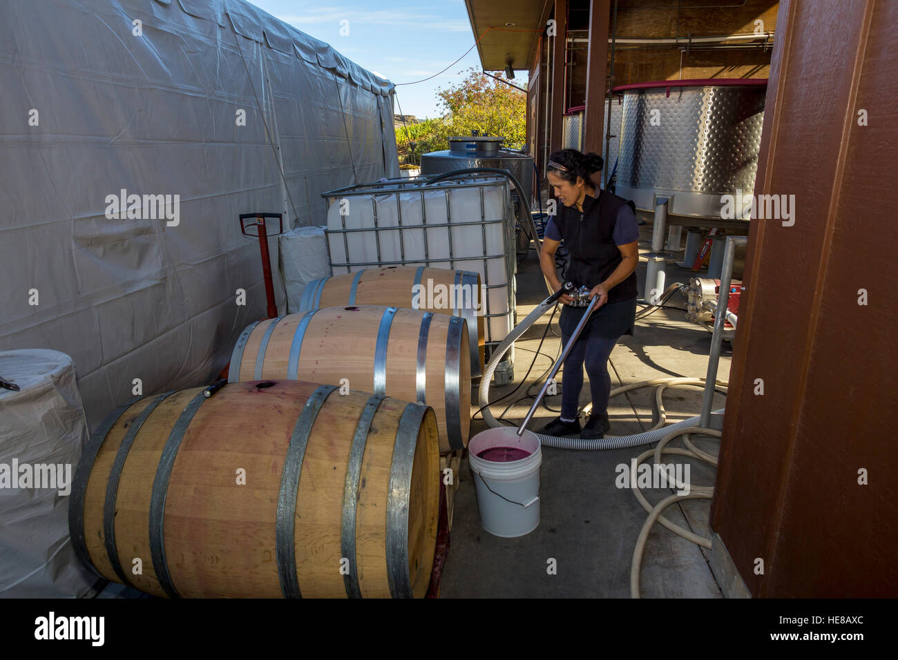 winery worker, fermentation area, Repris Wines, Sonoma, Sonoma County ...