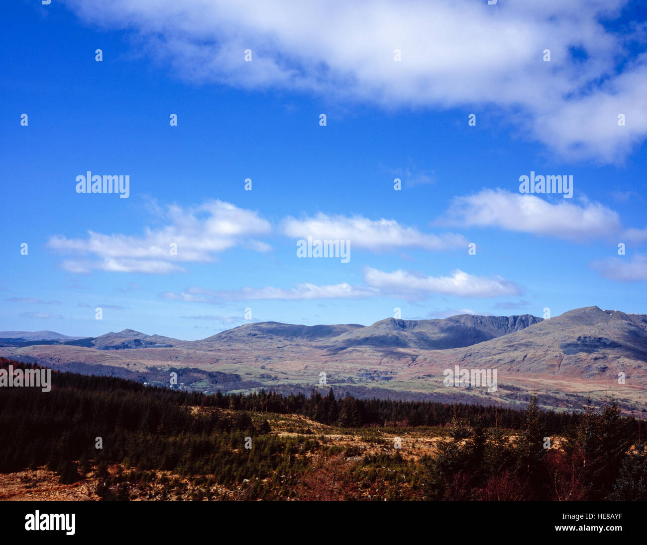The Old Man of Coniston and Wetherlam from Carron Crag Grizedale Forest ...