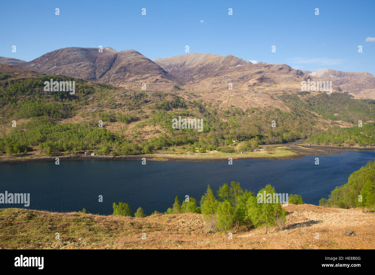 Beautiful Scottish Loch Leven Scotland UK in summer with mountains ...
