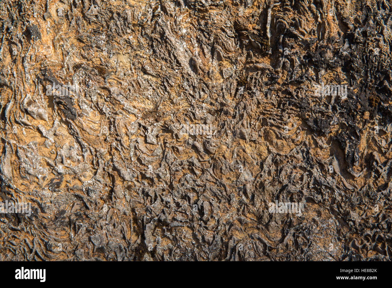 Unusual rock background texture rough with swirls and natural pattern ...