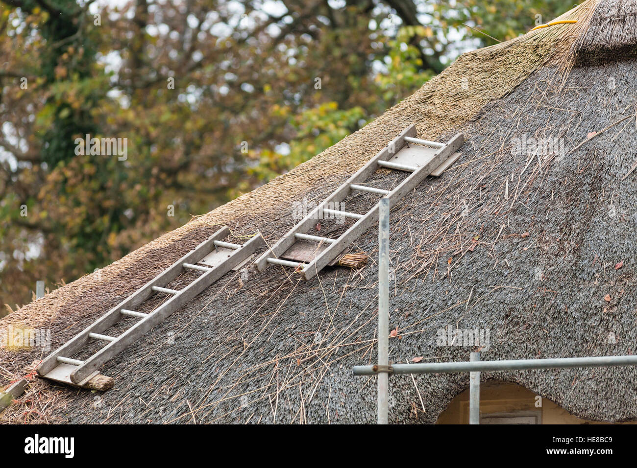 Scaffold ladders hi-res stock photography and images - Alamy