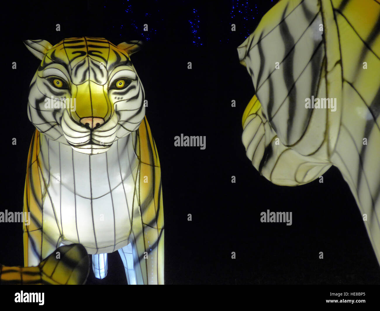 Chinese new year festival tiger hi-res stock photography and images - Alamy
