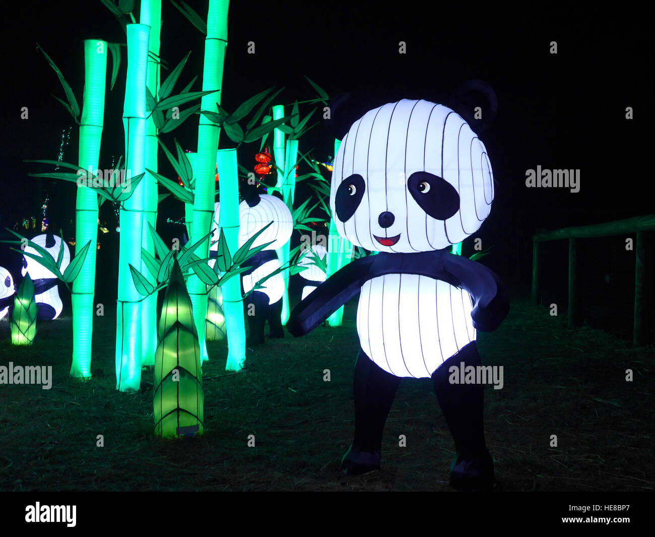 Chinese lantern festival panda hi-res stock photography and images - Alamy
