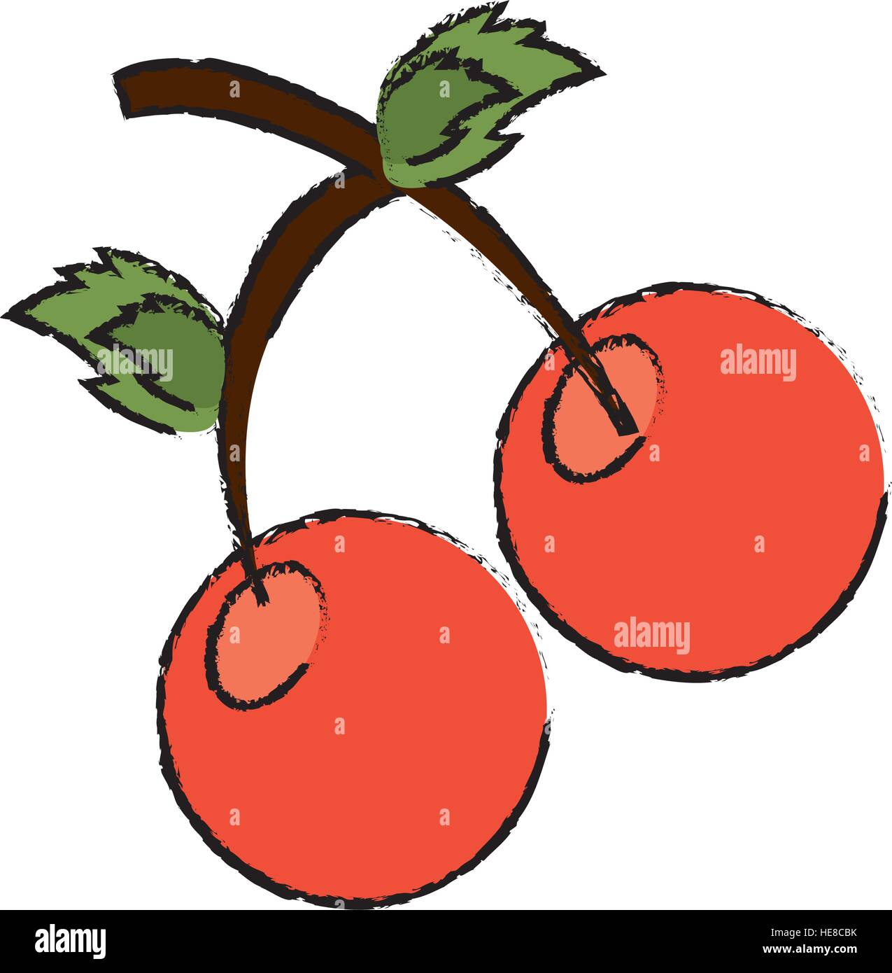 drawing sweet cherry fruit red Stock Vector Image & Art - Alamy