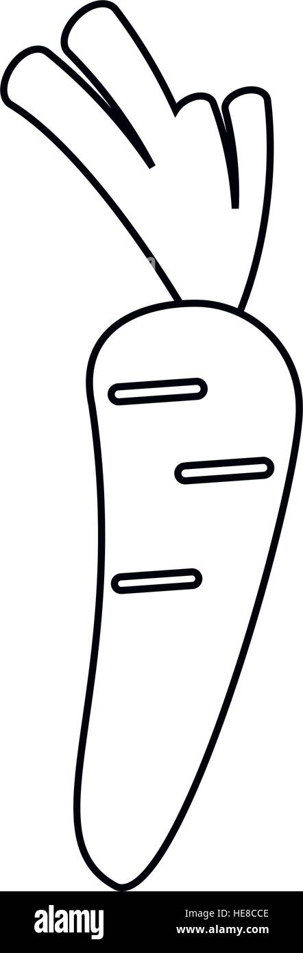 harvest carrot vegetable outline Stock Vector Image & Art - Alamy