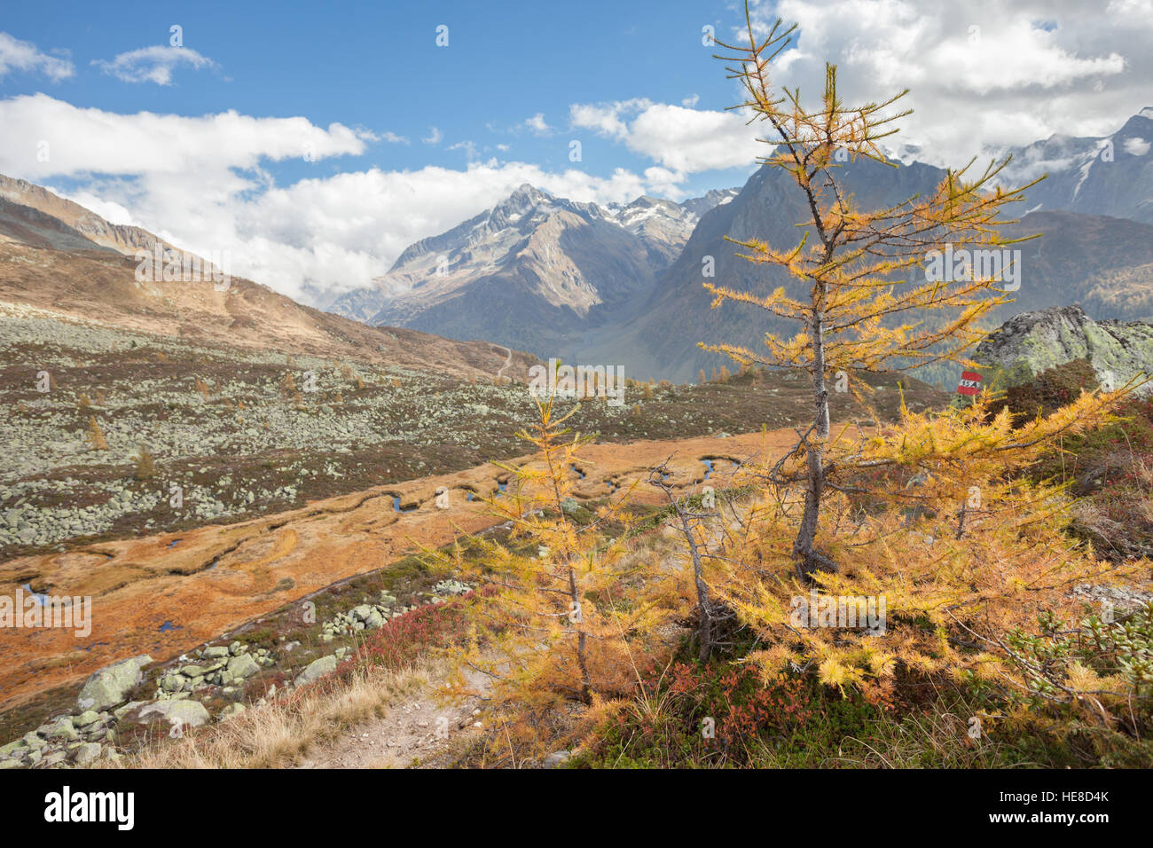 A river like a snake flows in Ahrntal (Italy) in autumn Stock Photo - Alamy