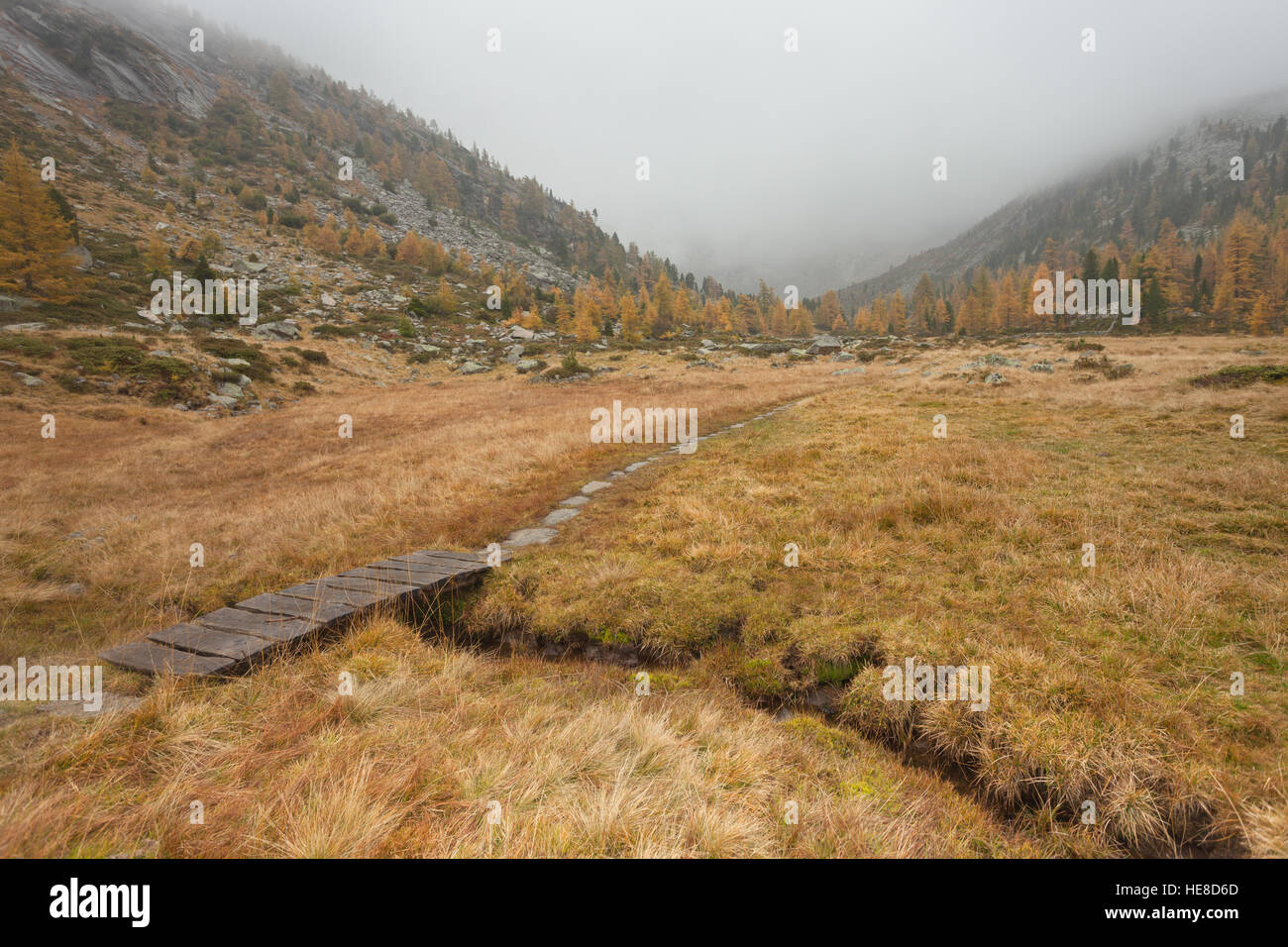 small bridge long a path in the meadow at fall Stock Photo - Alamy
