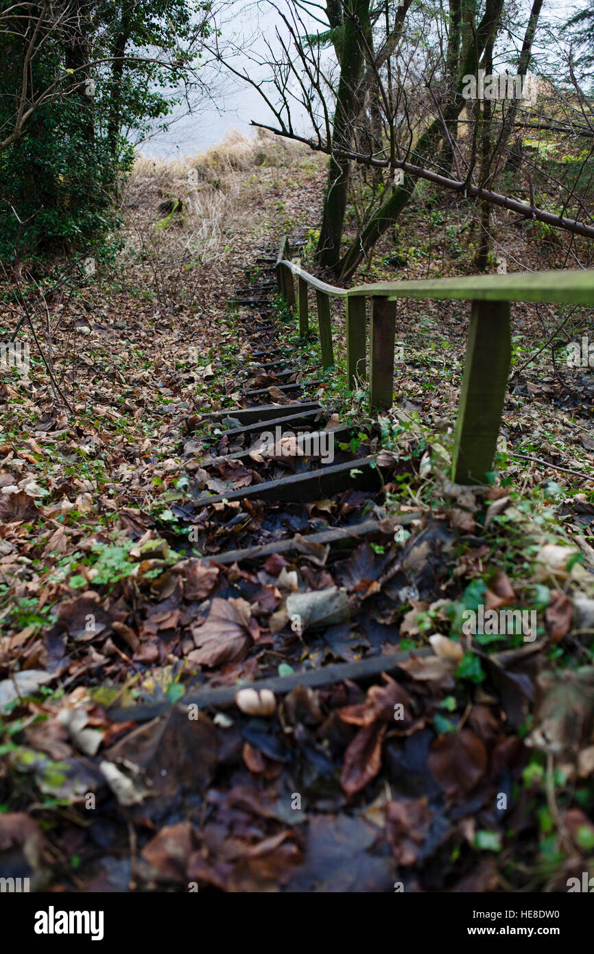 River bank steps hi-res stock photography and images - Alamy