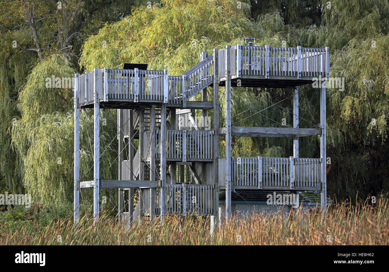 Wooden observation platform in a nature preserve Stock Photo - Alamy