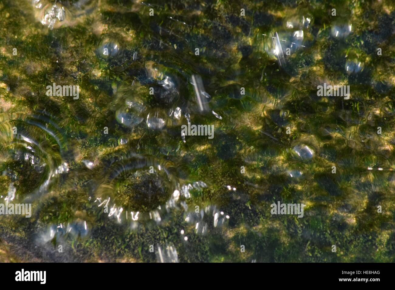 Water Flowing Over Moss Stock Photo - Alamy