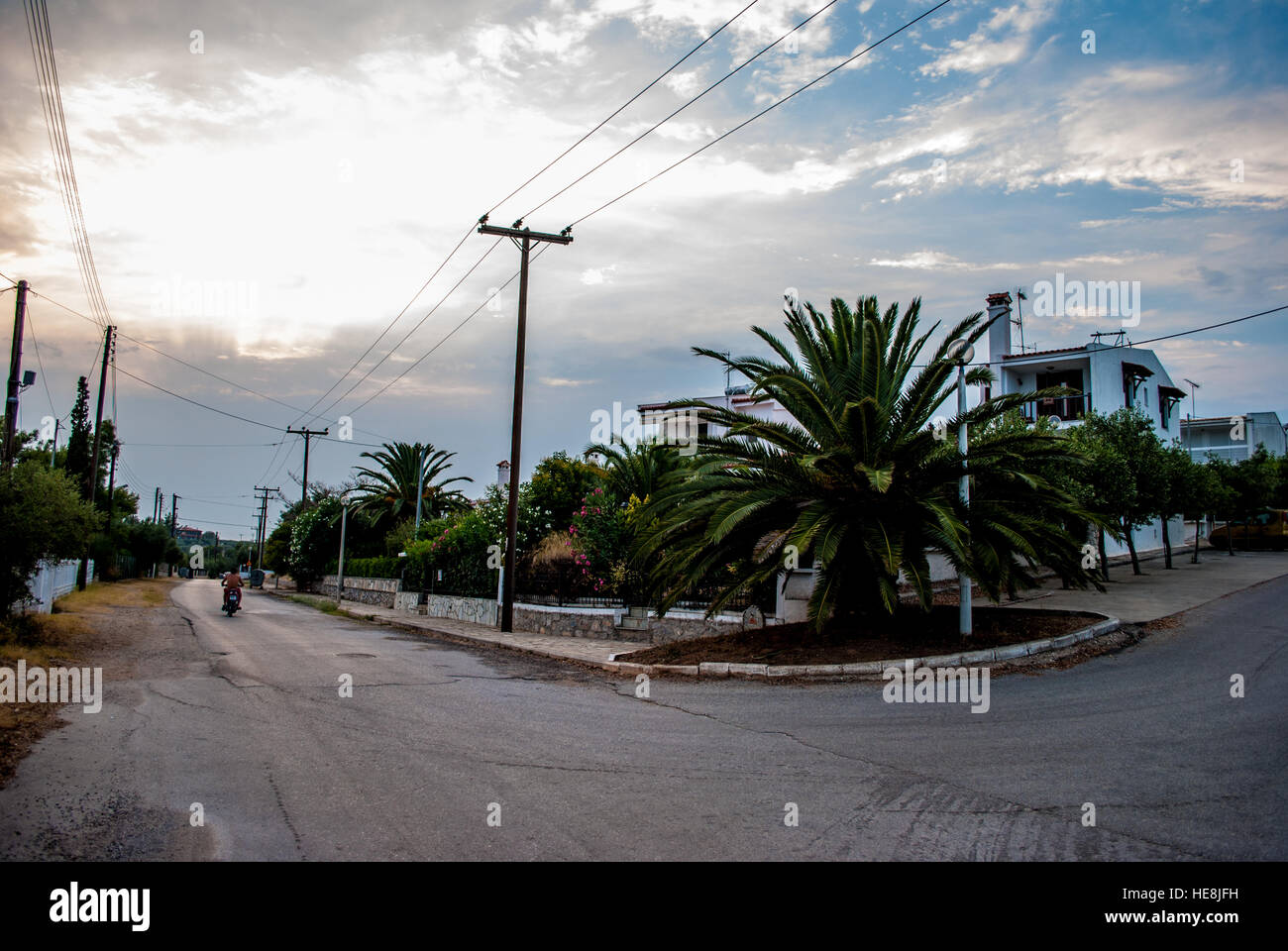 seaside road and promenade with palm trees Stock Photo - Alamy