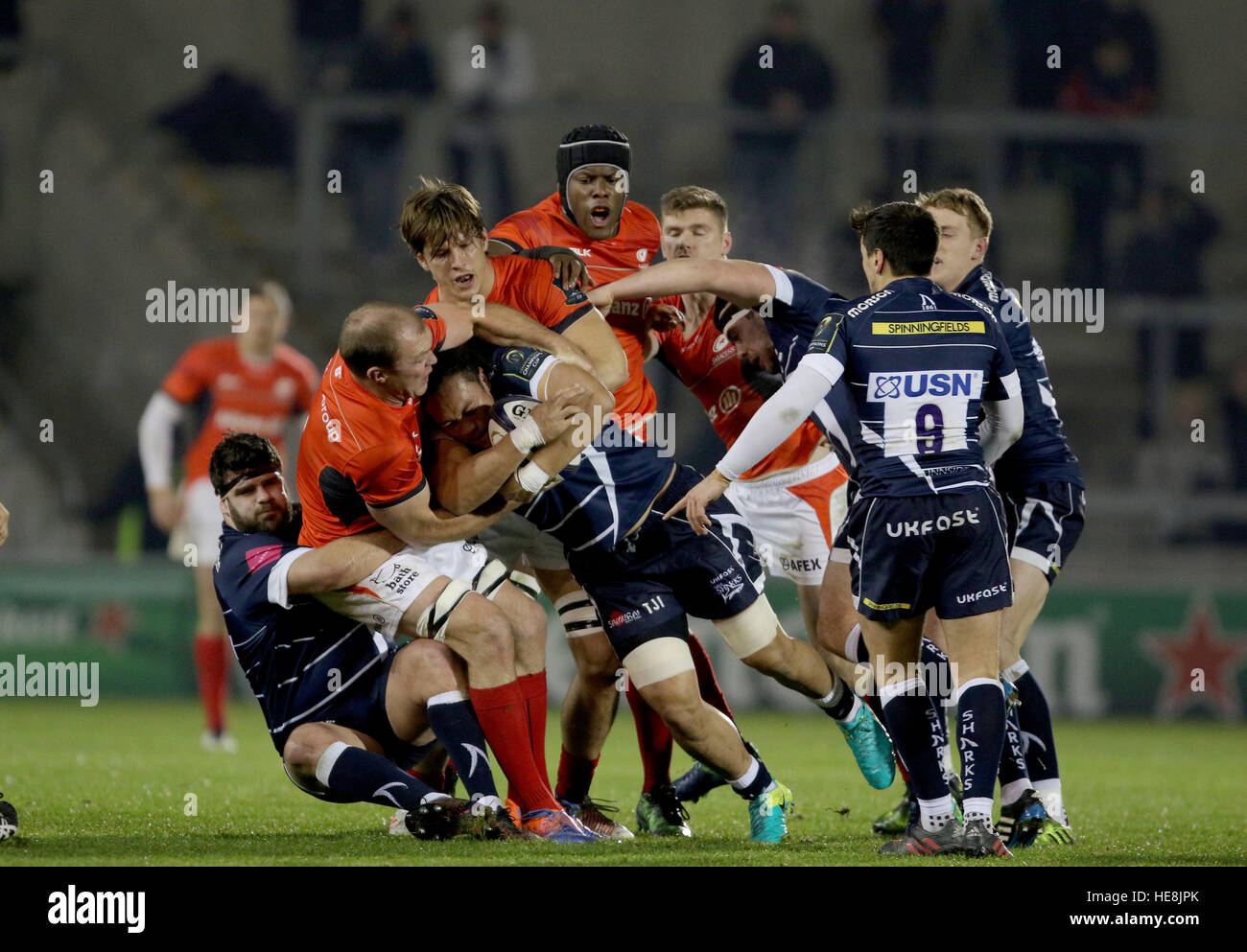 Sale sharks tj ioane hi-res stock photography and images - Alamy