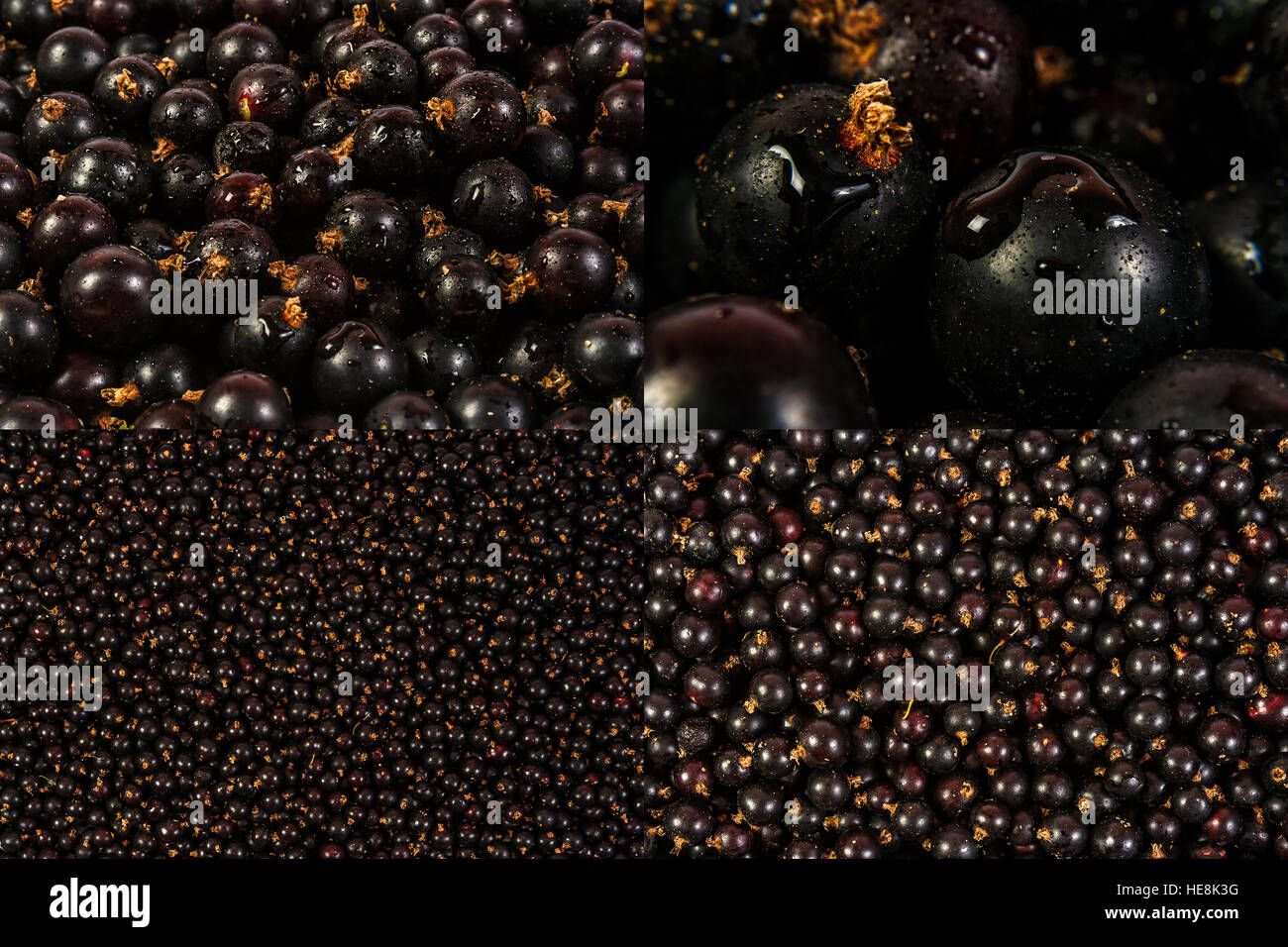 image set of black currant texture in different sizes Stock Photo - Alamy