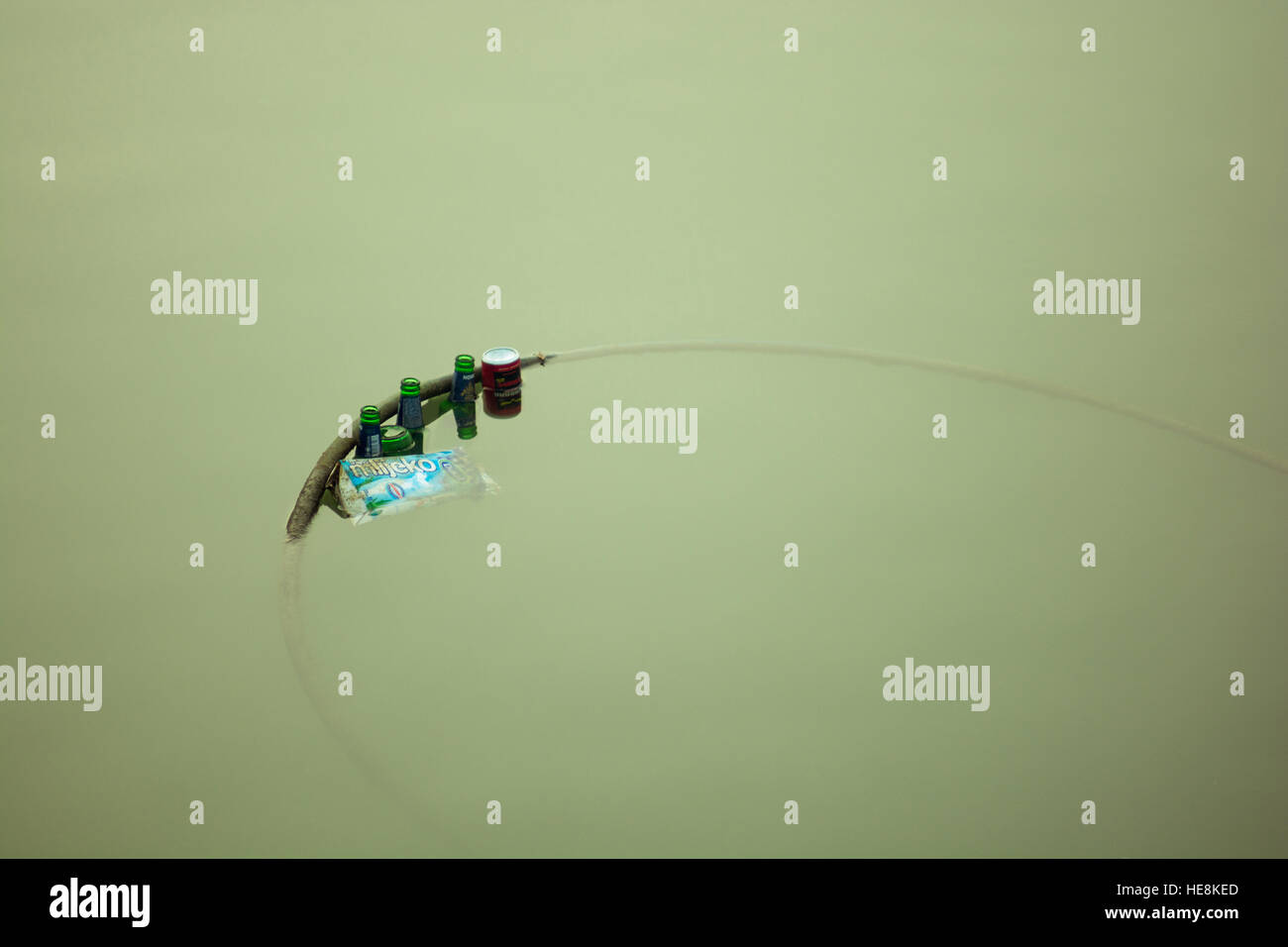 Floating debris in river Sava i Belgrade, Serbia Stock Photo - Alamy