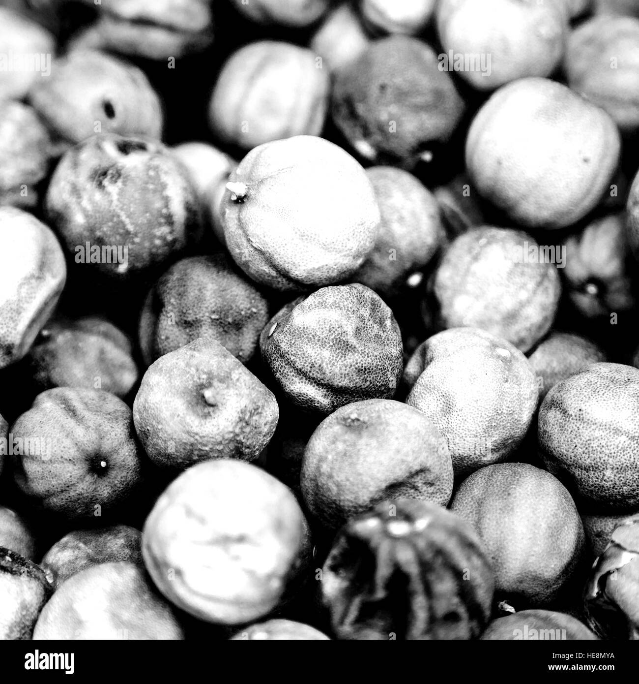 in iran blur typical dry lemon in abstract pattern background flavor ...