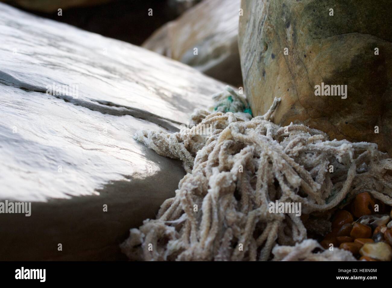 Tangled net hi-res stock photography and images - Alamy