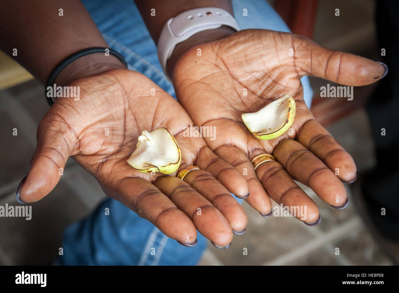 Kola nuts are an important part of the welcoming ceremony in the Wara ...