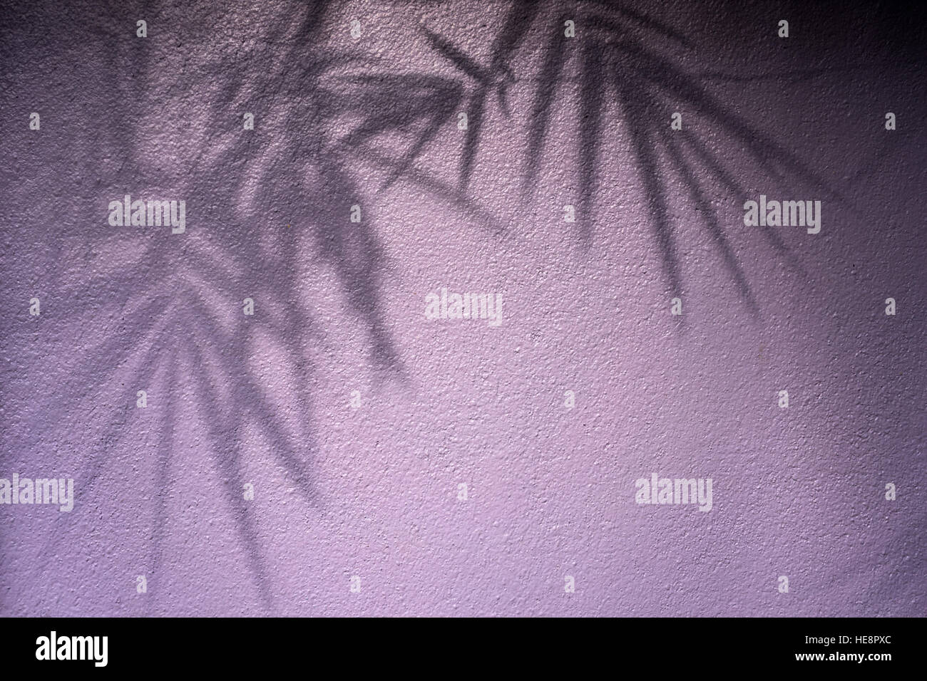 Bamboo shadow hi-res stock photography and images - Alamy