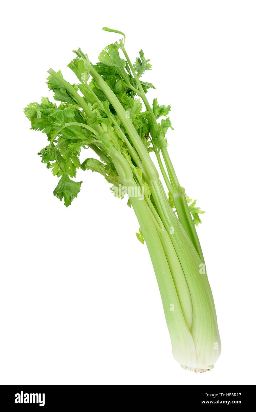 Bunch of Celery Stock Photo - Alamy