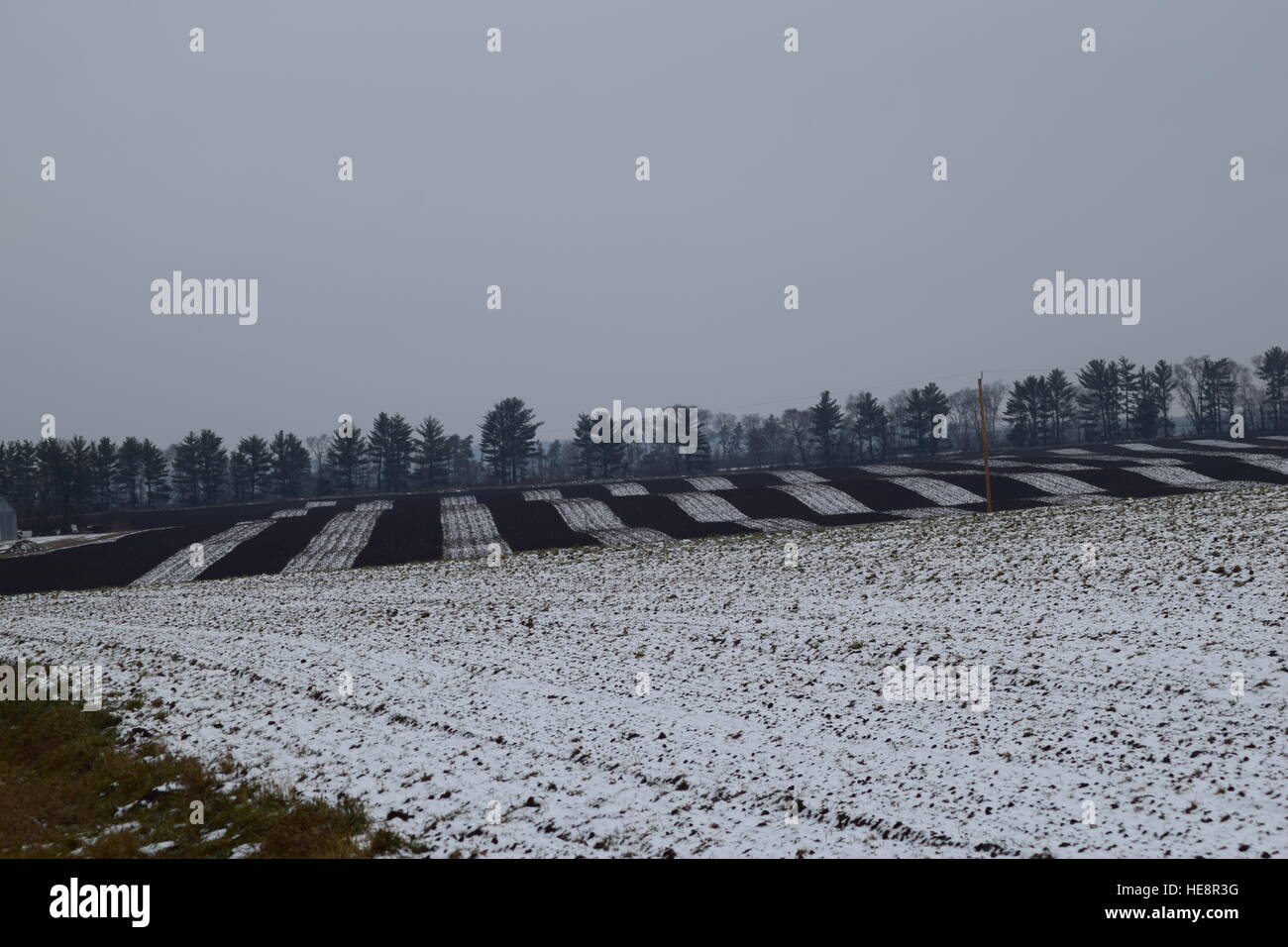 Stripes in the Field Stock Photo - Alamy