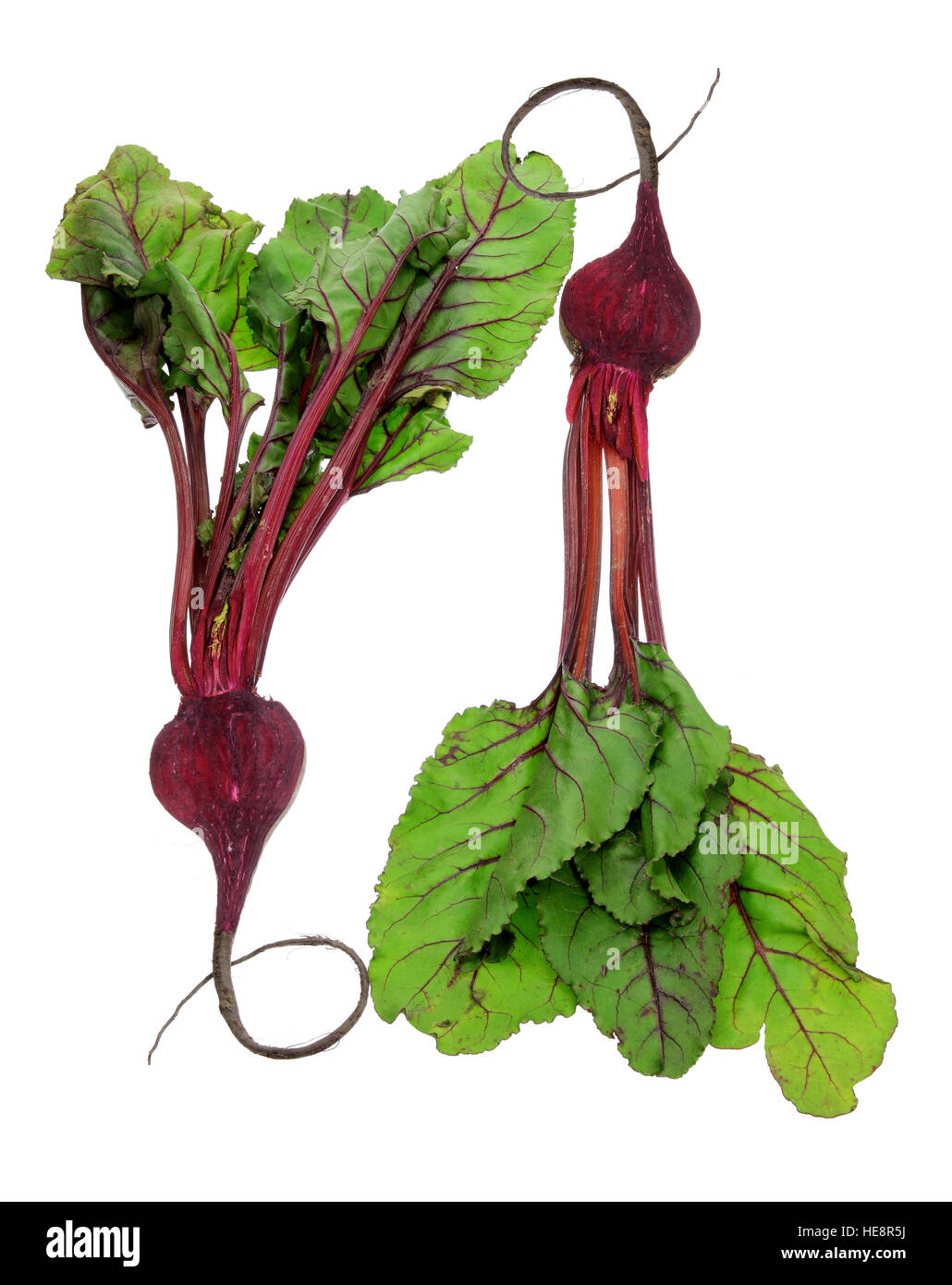 Beet root vegetable hi-res stock photography and images - Alamy