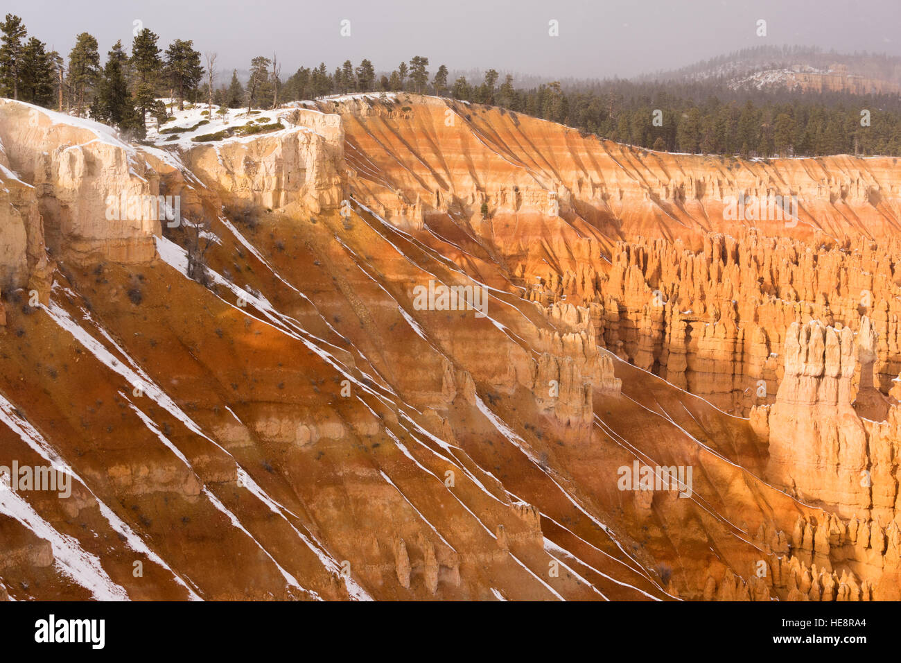 Fresh Snow Blankets Bryce Canyon Rock Formations Utah USA Stock Photo ...