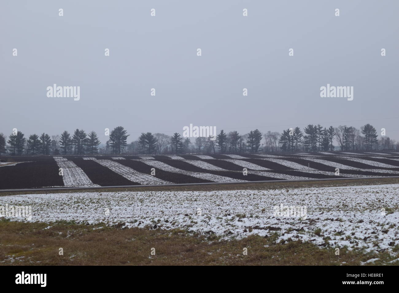 Stripes in the Field Stock Photo - Alamy