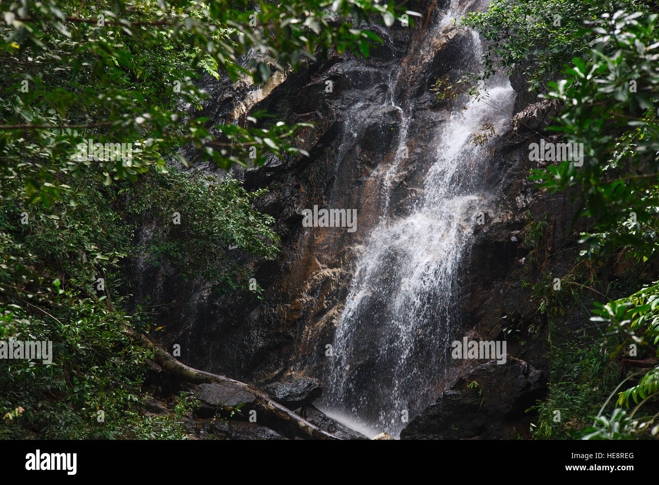 Beautiful waterfall in forest flora hi-res stock photography and images ...
