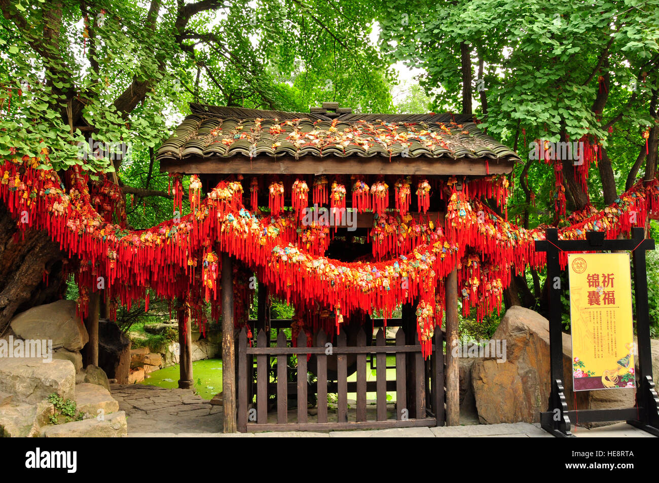 Good luck tree Stock Photo - Alamy