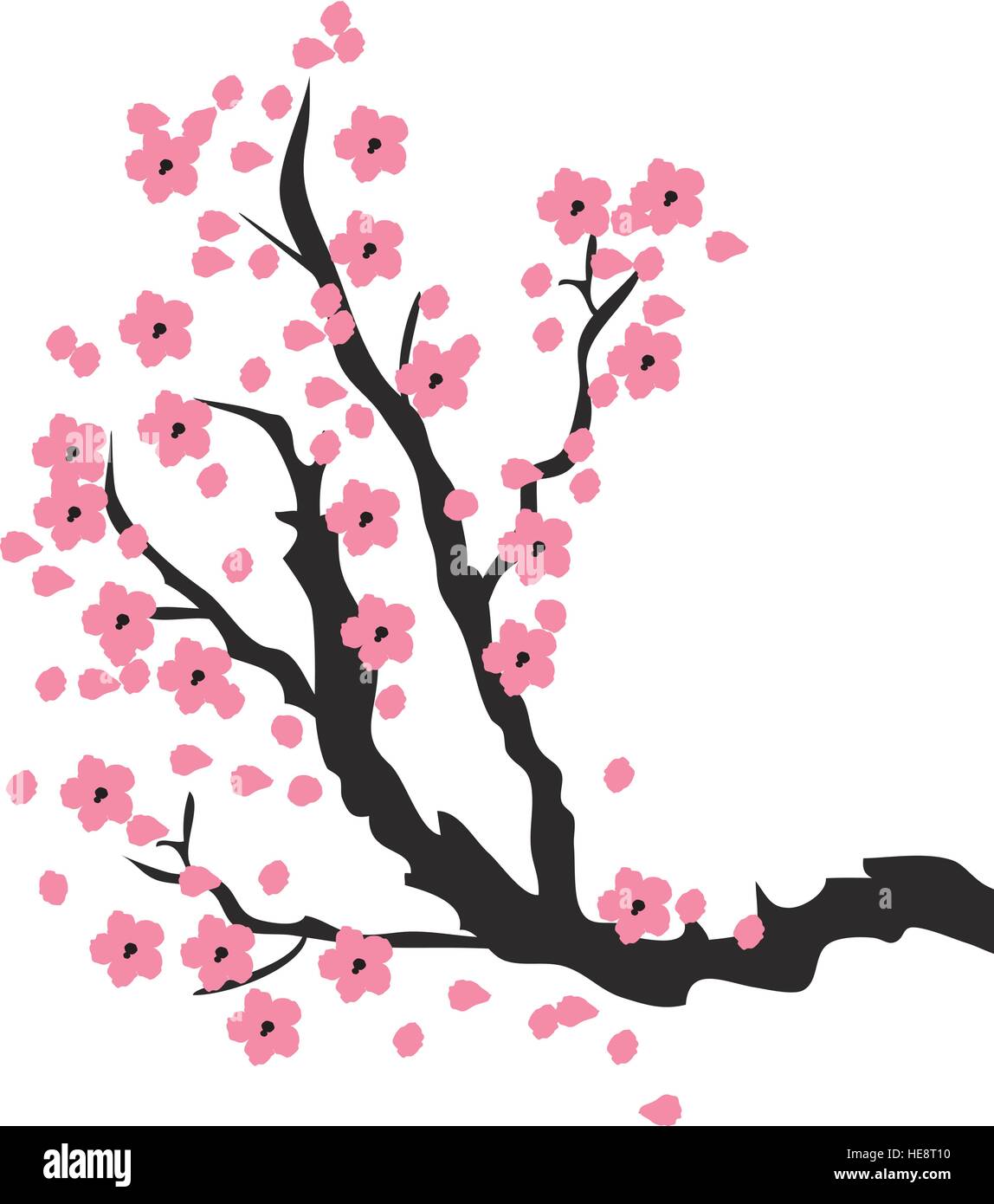 Cherry Blossom Vector