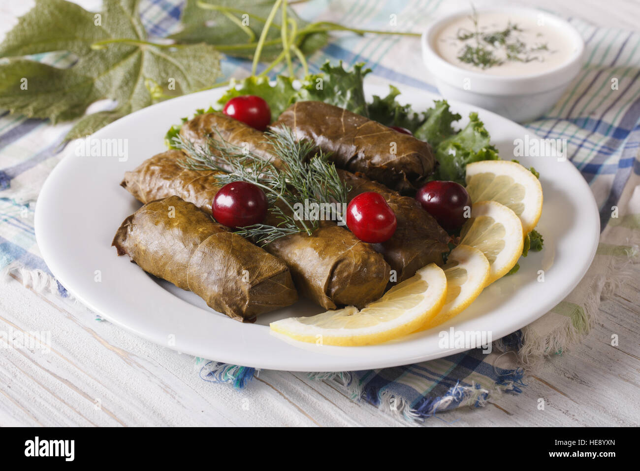 Dolma: grape leaves stuffed with meat and rice on a plate. horizontal ...