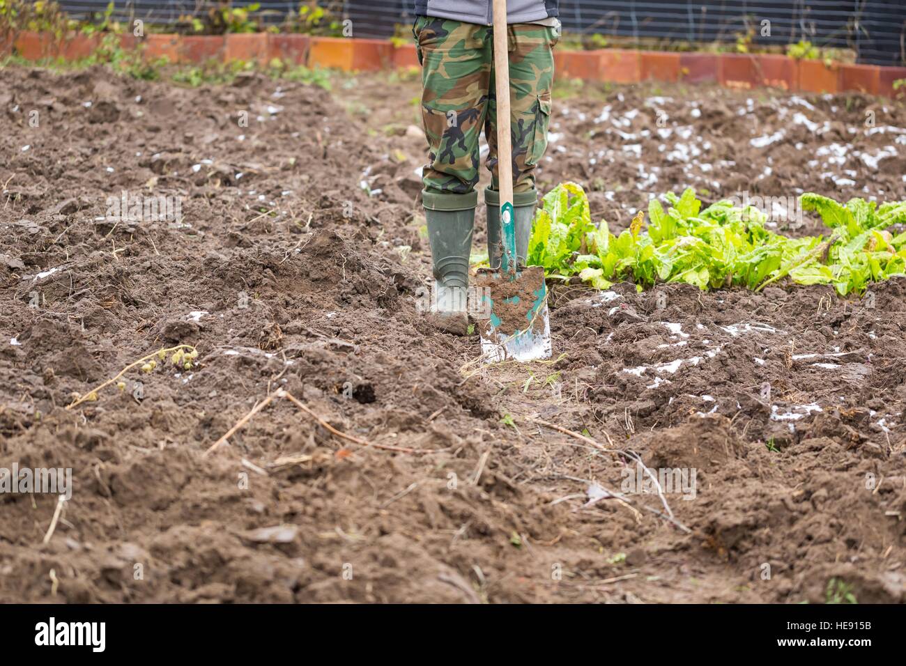 Man digging with spade hi-res stock photography and images - Alamy