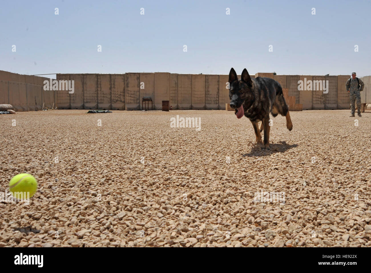 Staff Sgt. Dustin Weeks, military working dog handler, deployed from ...