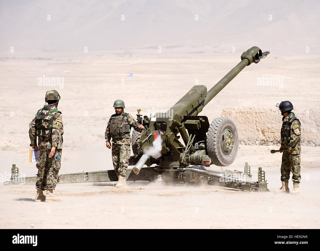 Afghan wolf hi-res stock photography and images - Alamy