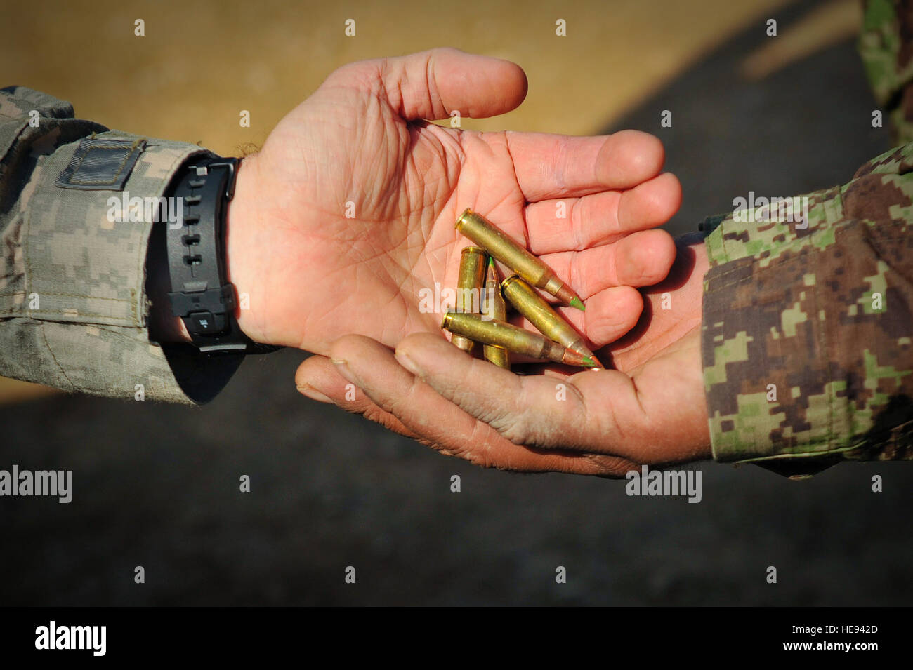 An United States Army Marksmanship Unit member hands five M-16 rifle ...