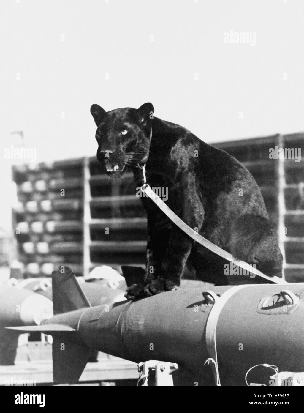 The 13th Tactical Fighter Squadron, "Panther Pack," was deactivated on ...